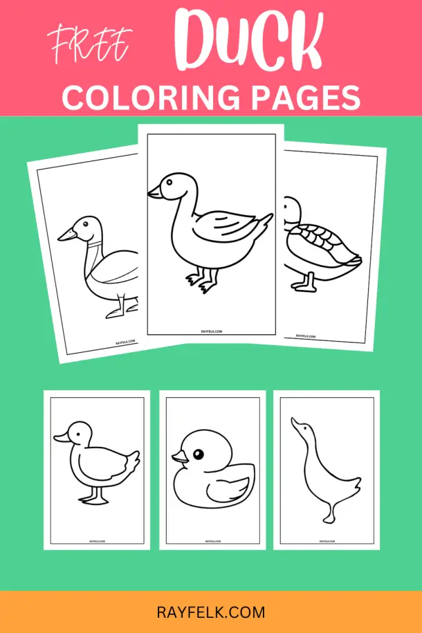 Duck Coloring Pages