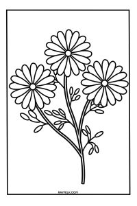 Flower Coloring Pages
